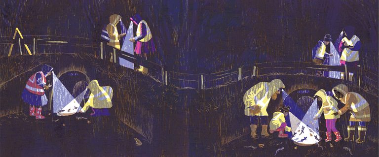Children’s Book Illustration – Kari Percival Words & Pictures